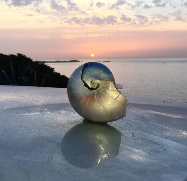 Benjamin Bruno – Design & Culture by Ed